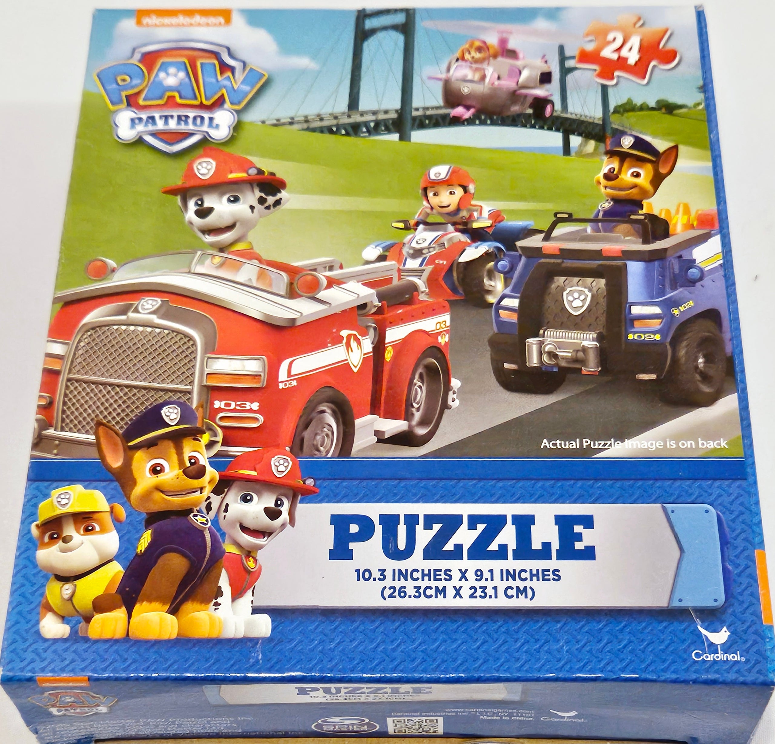Nickelodeon Paw Patrol Puzzle | Mud and Lace Children's Clothing ...